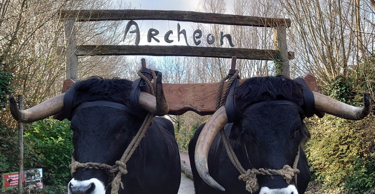 Lezing: Geschiedenis Ossen (Nederland en Archeon) | Archeon