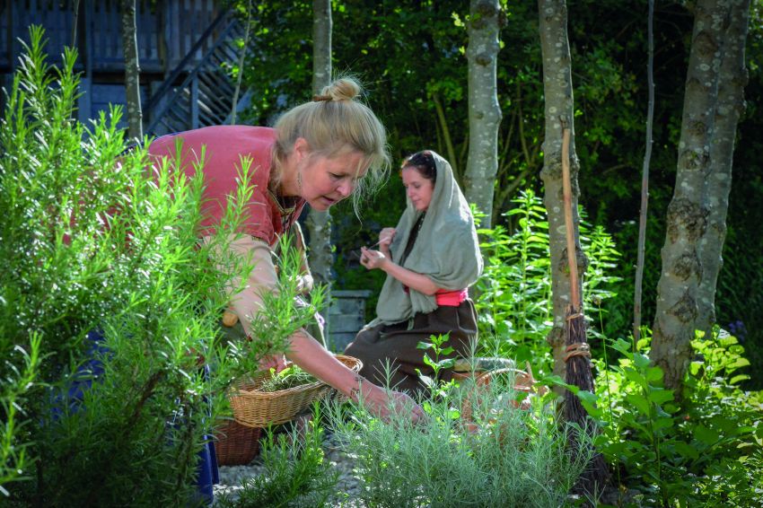 Flora & Fauna Fest | Archeon