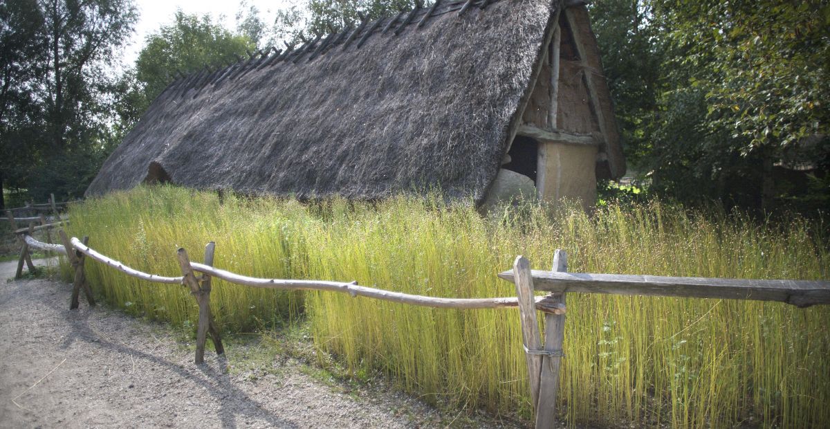 Verhalen van Archeon - Prehistorie | Archeon
