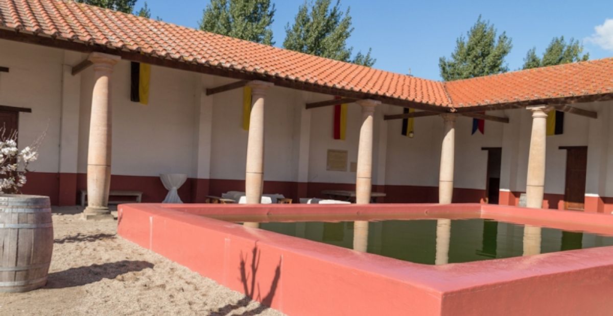 Archeon from the sky | Archeon