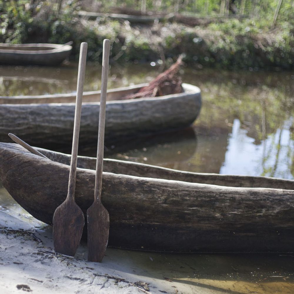 Boomstamkano | Archeon