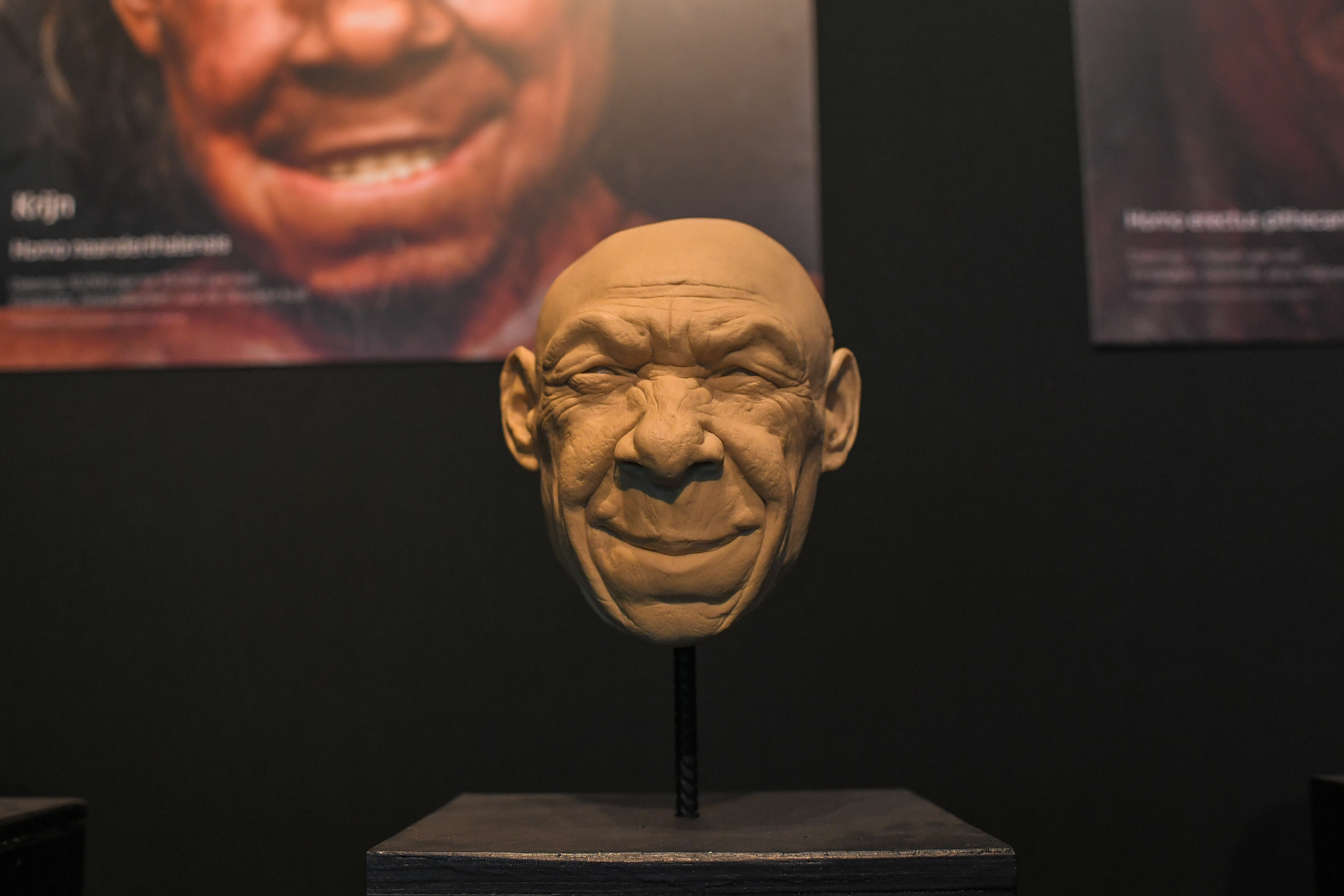 Tentoonstelling Het Paleolithicum | Archeon