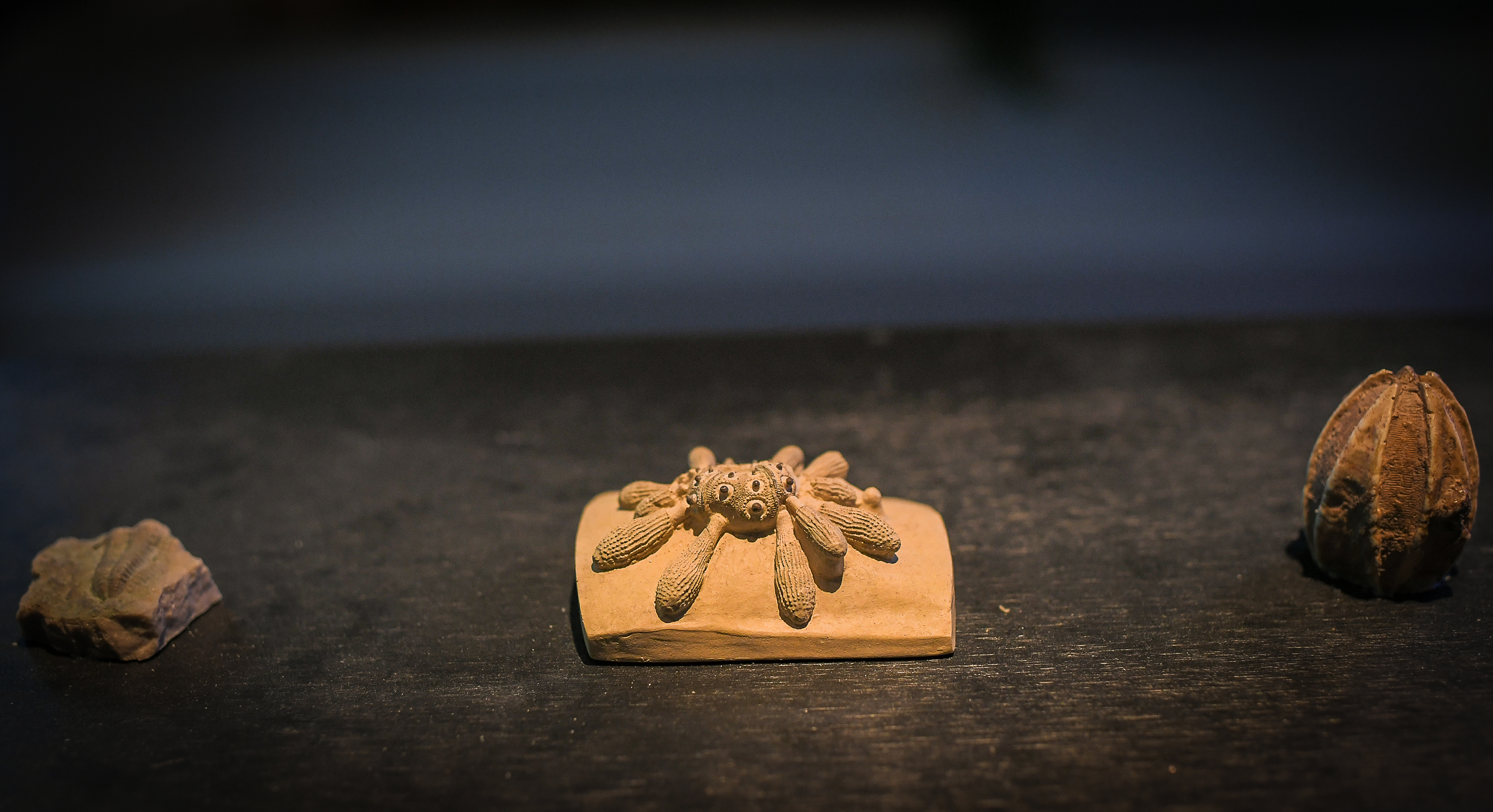 Tentoonstelling Het Paleolithicum | Archeon
