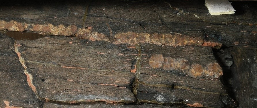 Kano's van Zwammerdam | Archeon